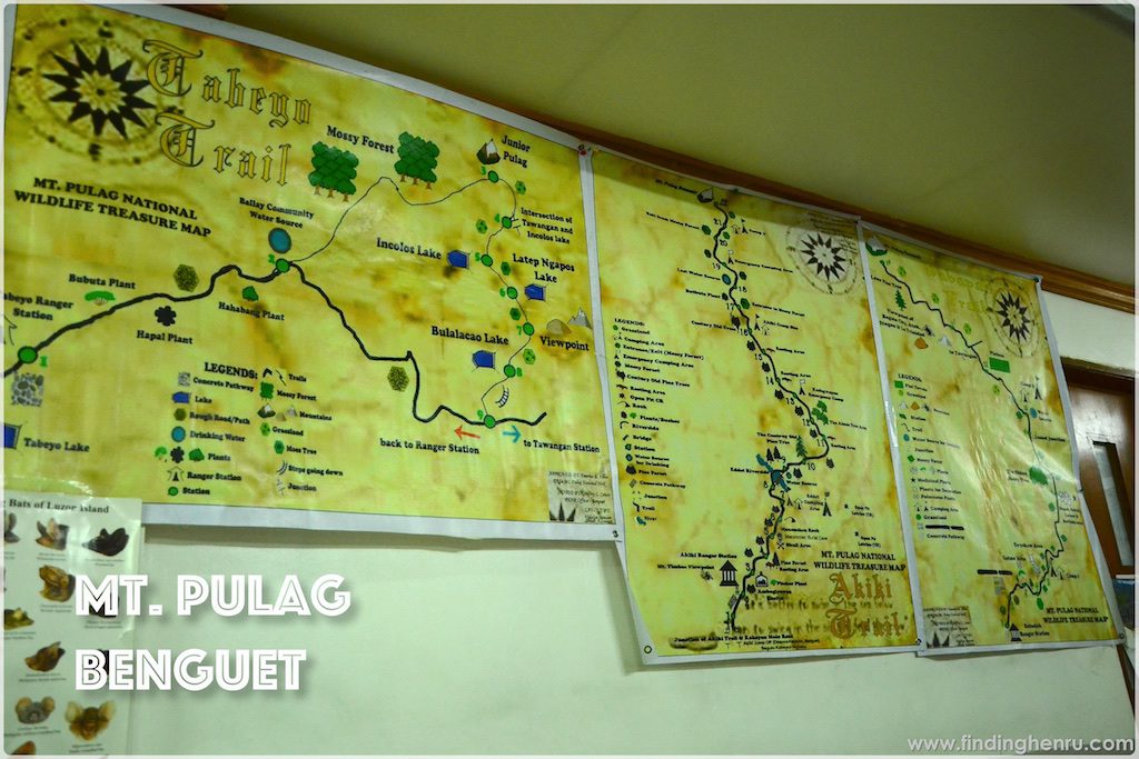 Mt. Pulag Ambangeg Trail - Finding Henru